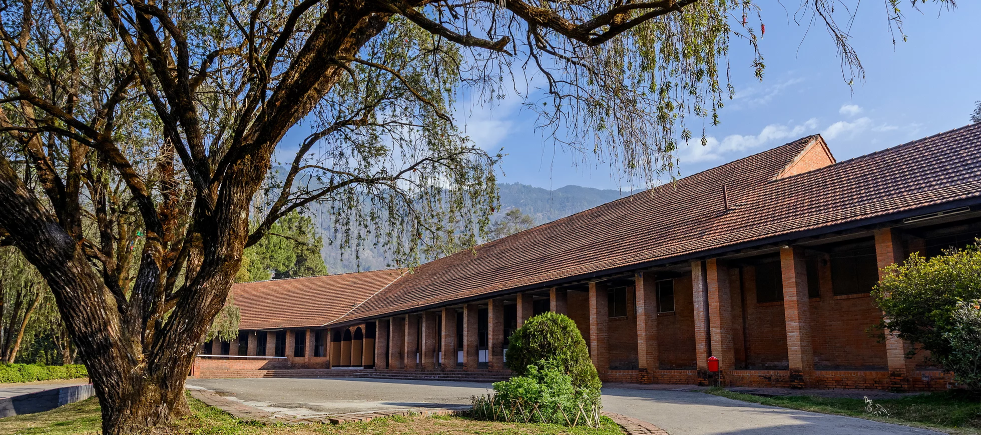 CART Report 2021 — SEBS